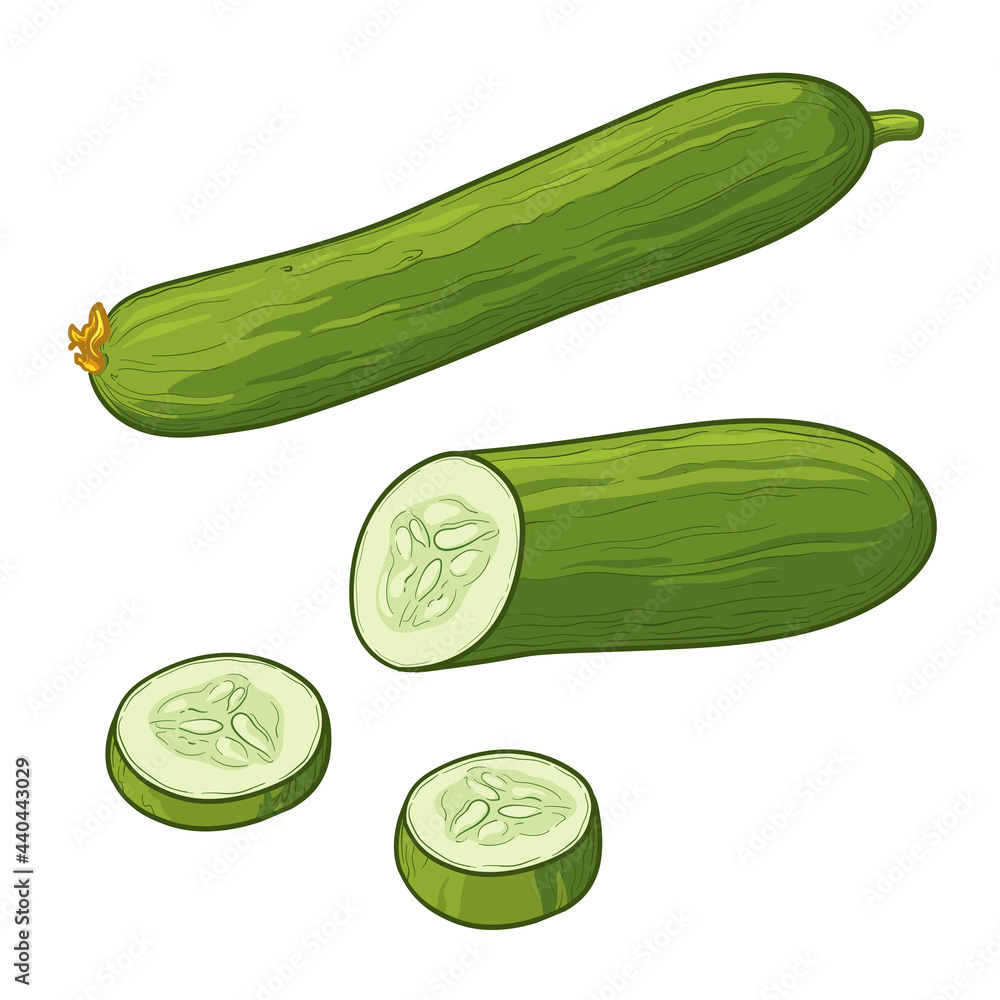 Cucumber, half a cucumber and a slice, isolated on a white background ...