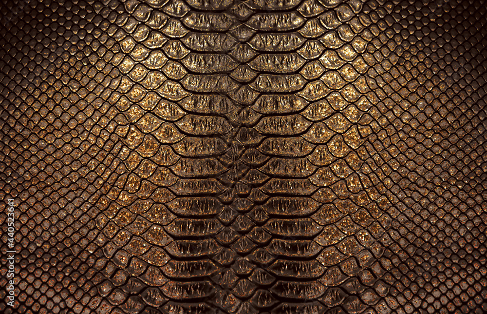 Snake Skin Texture