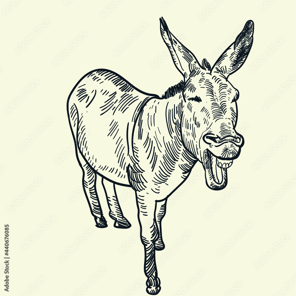 Vintage Hand drawn smile donkey Stock Vector | Adobe Stock