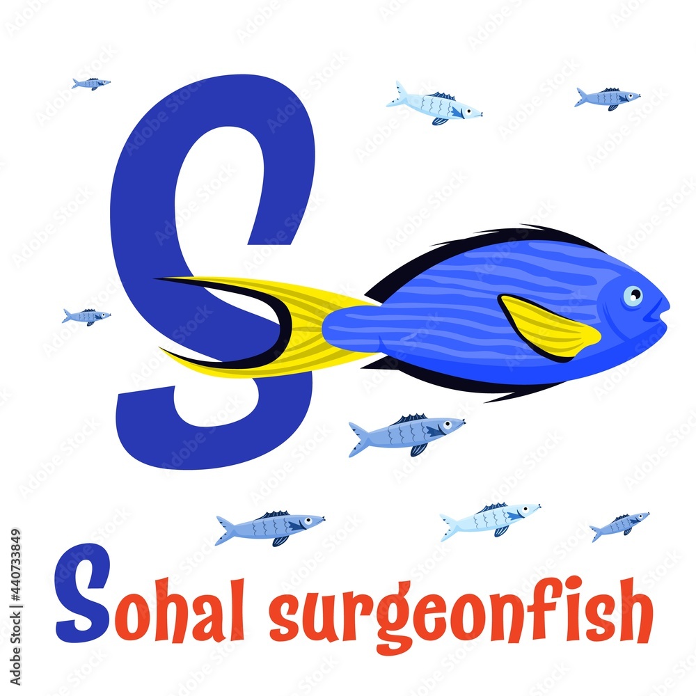 Sea Animals Alphabet. ABC for children. Letter S Stock Vector | Adobe Stock