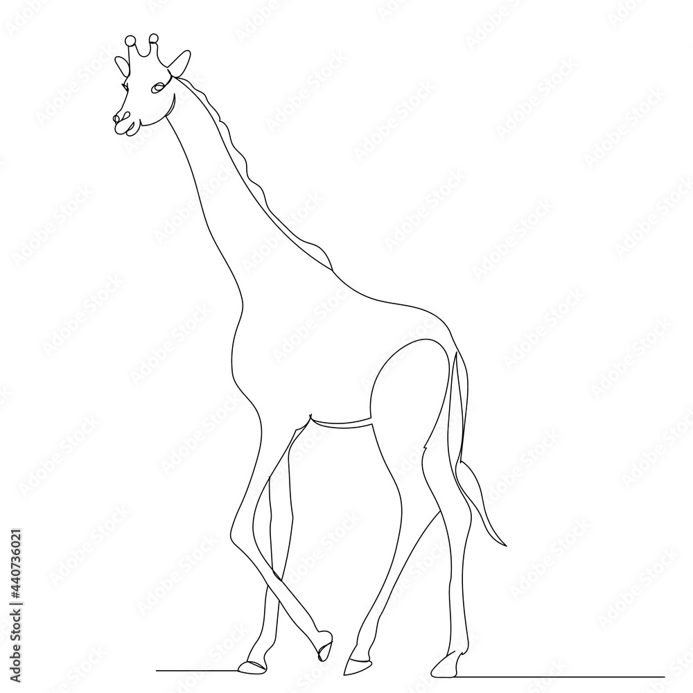 giraffe one line drawing isolated, vector Stock Vector | Adobe Stock