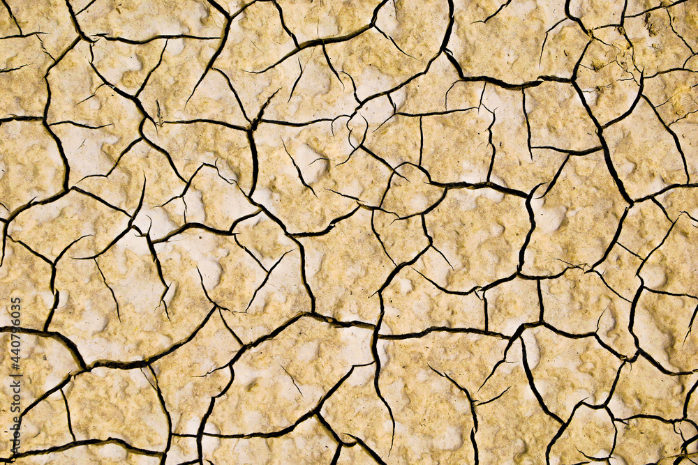 Beautiful texture of cracked soil after rain Stock Photo | Adobe Stock