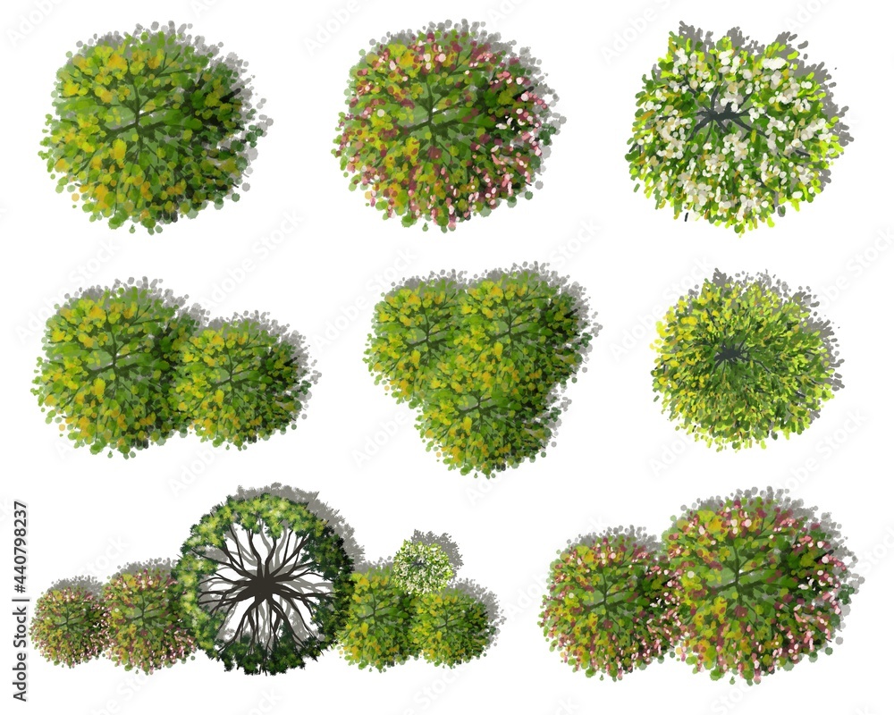 Collection of abstract watercolor tree top view isolated on white ...