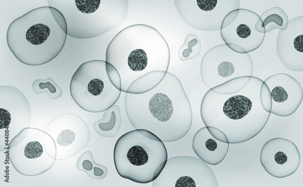 3d cell stem science background. Biology research dna nucleus cells ...