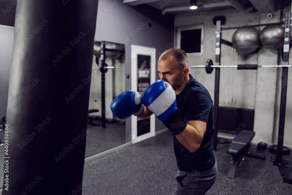 A strong hit in the punching bag. A focused man wears boxing gloves and ...