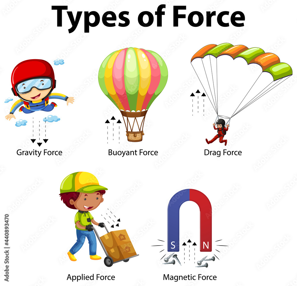 Types of force for children physics educational poster Stock Vector ...