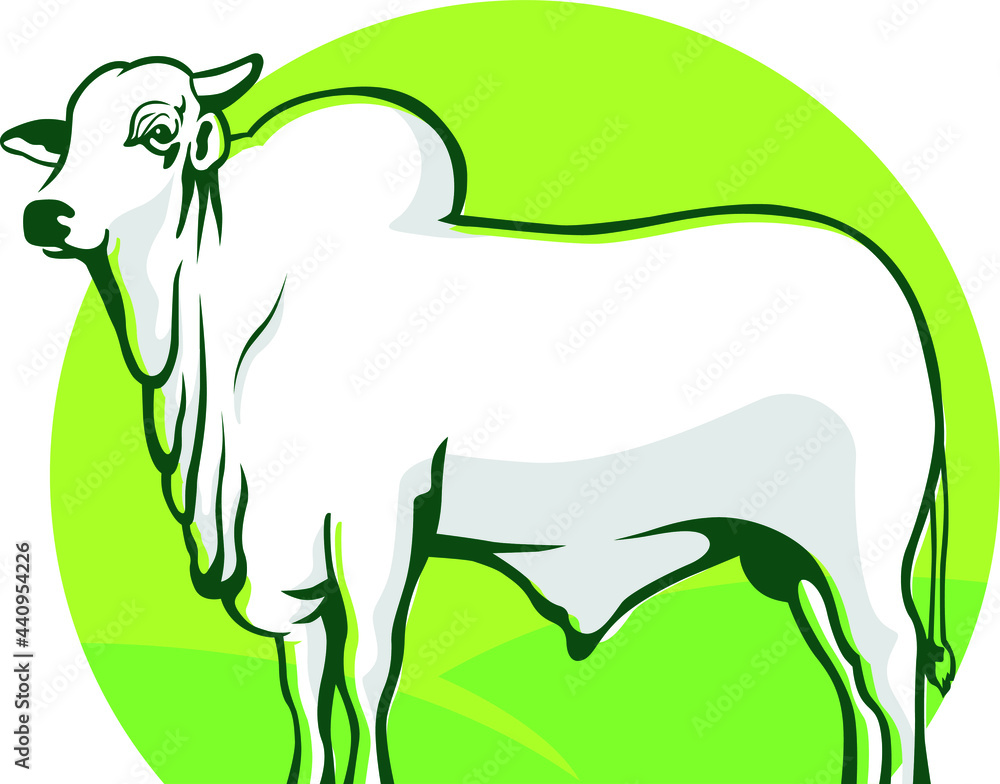 Vetor de boi nelore no fundo verde do Stock | Adobe Stock