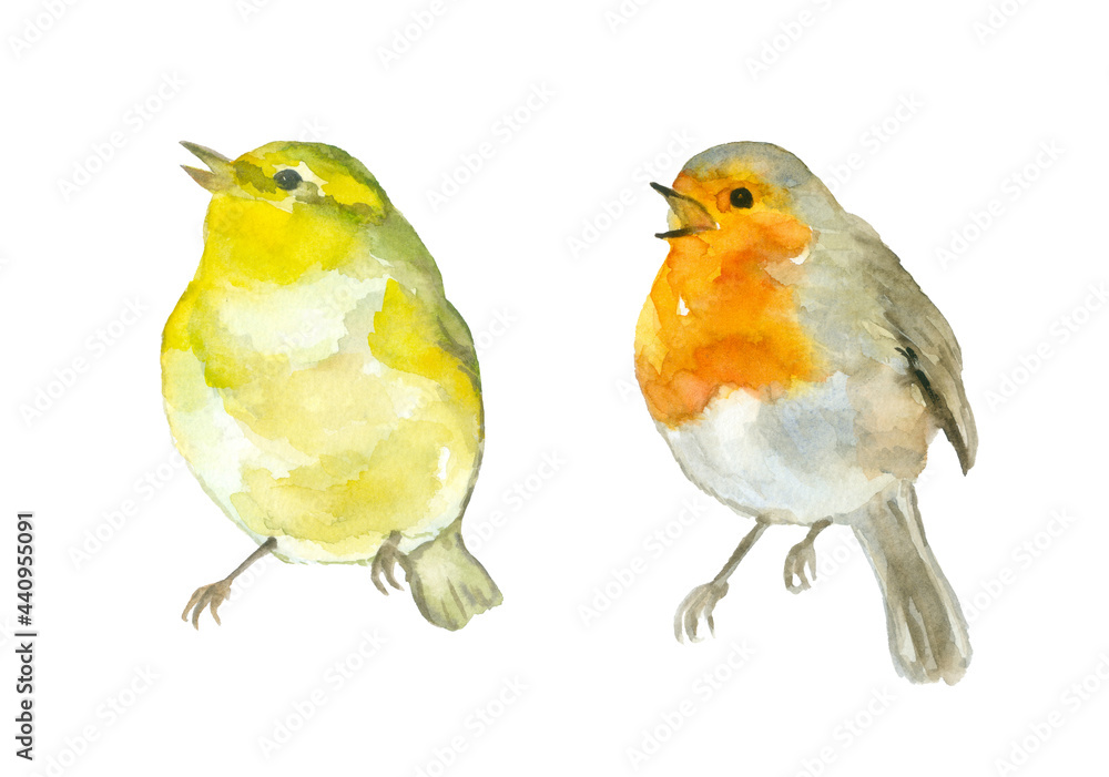 2 Singing bird watercolor painting set of 2, animal collection clip art ...