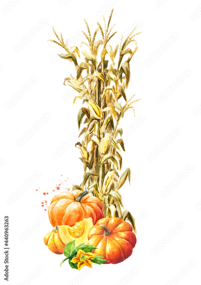 Dried Corn Stalk Clip Art