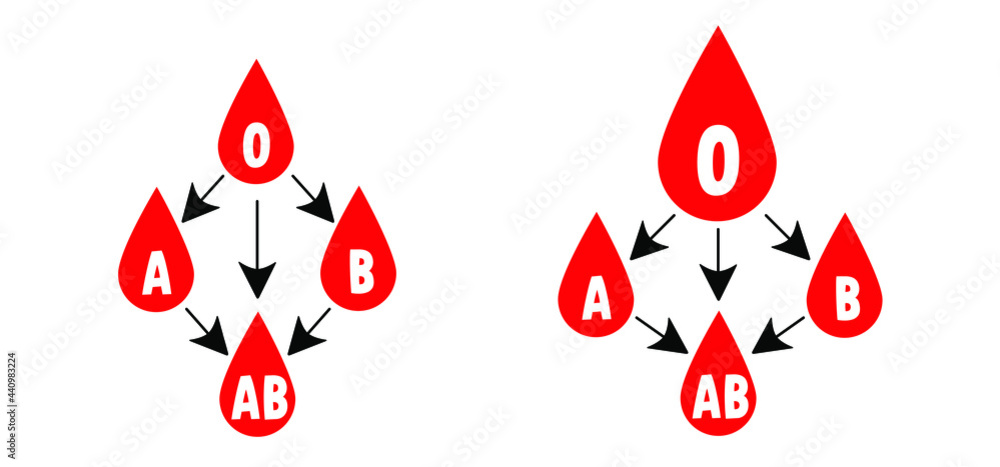 blood Types (A, B, AB, O). Recipient and Donor. Combinations between ...
