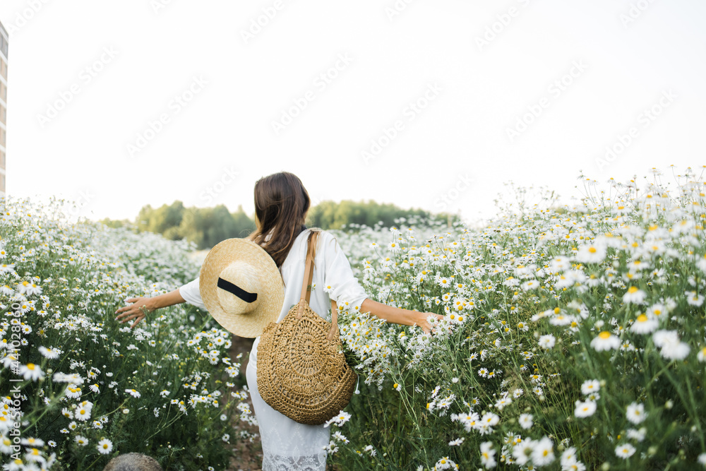beautiful young woman in a chamomile field in a picturesque valley. young lady in cotton white ...