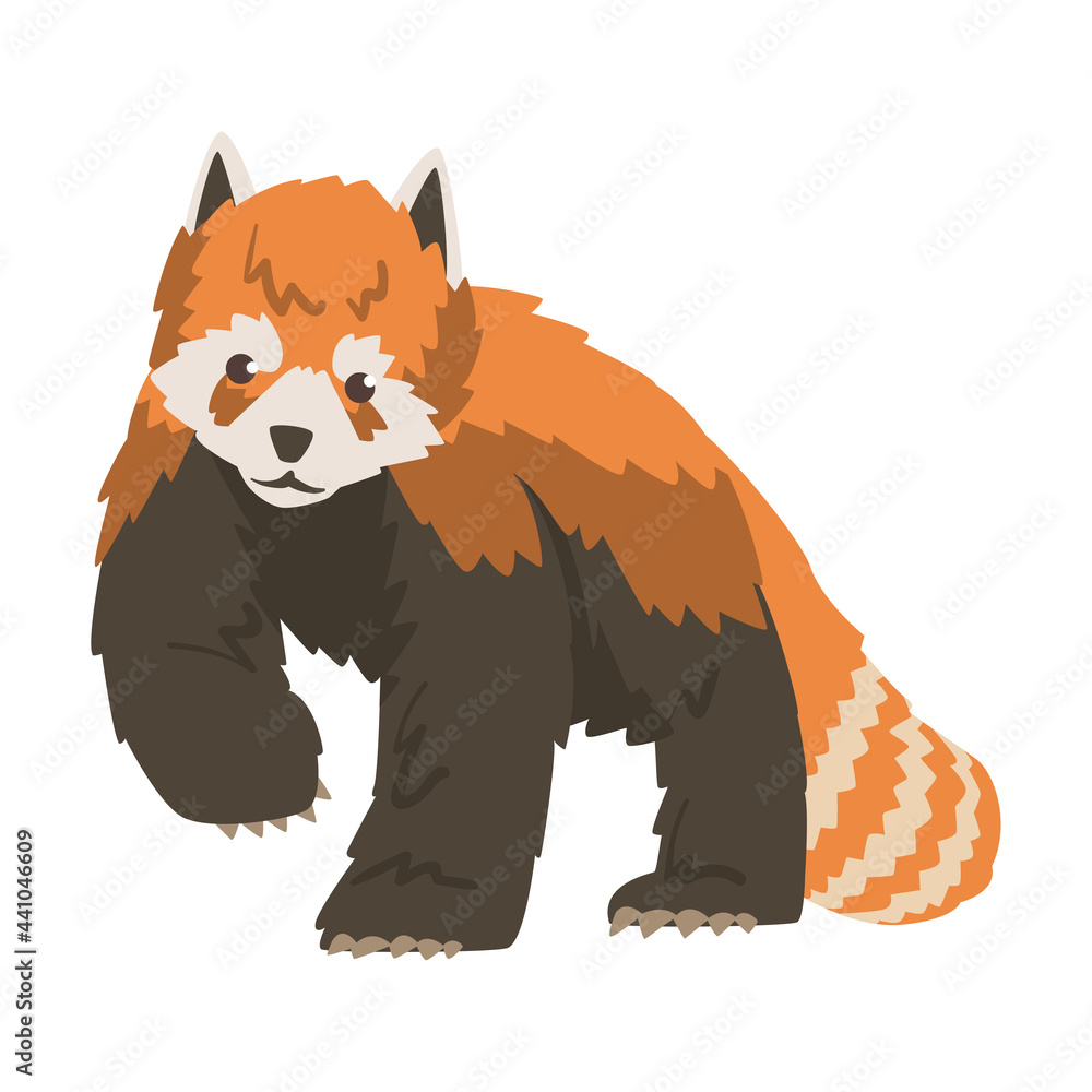 Cute Red Panda Wild Animal Cartoon Vector Illustration Stock Vector ...