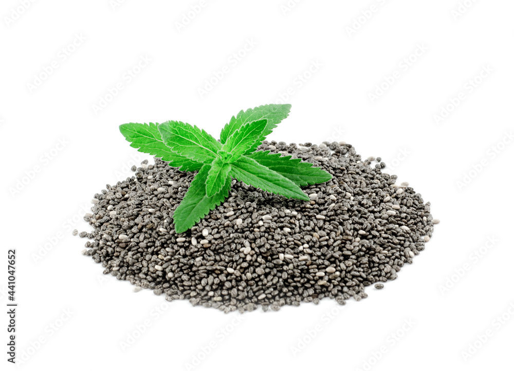 Chia seeds and green chia leaves on white background, isolate Stock ...