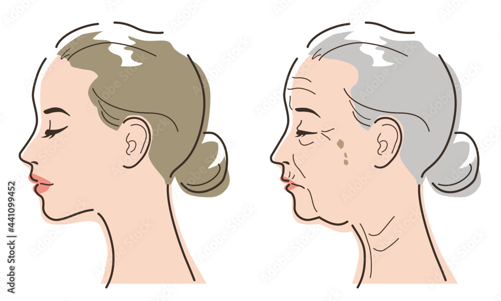 Woman's face seen from the side. Young and elderly image of skin aging ...