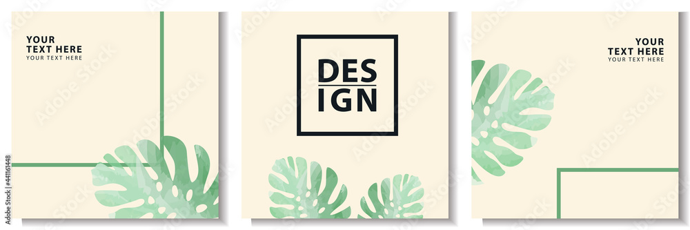 set of social media background with plants. social media feed ...