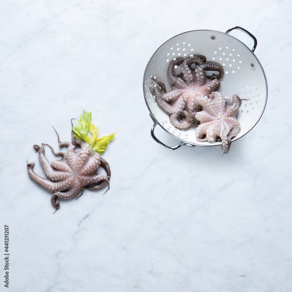 Octopus on Marble Background – Fresh Purple Octopuses in Silver Steel ...