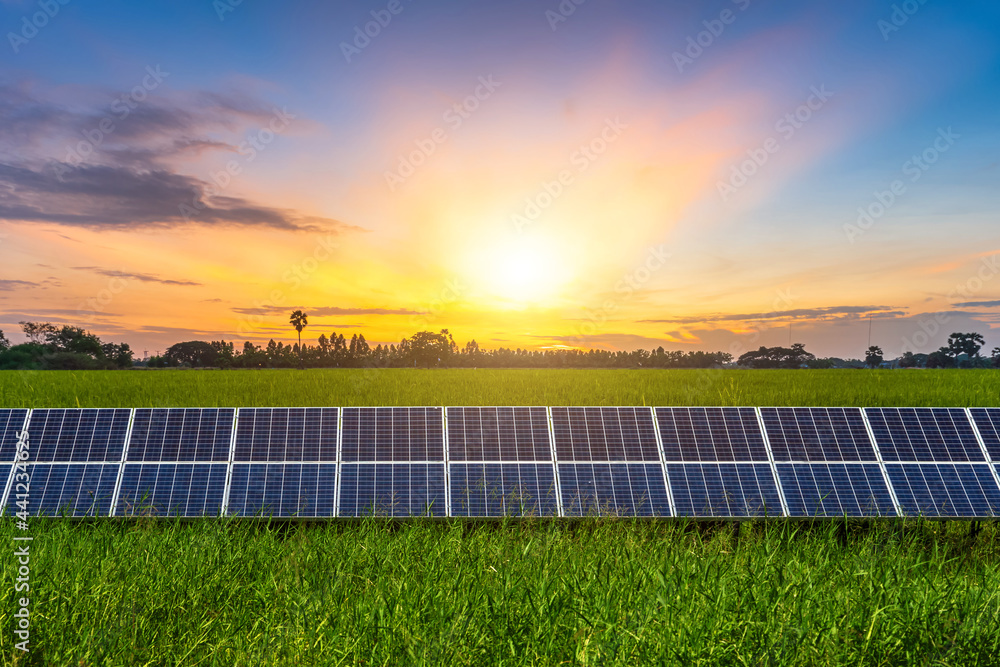 Photovoltaic solar power panel and landscape of Rice field green grass ...