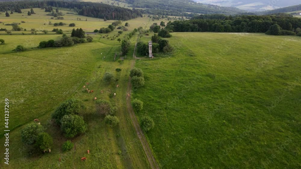 Aerial of the inner german border between GDR and FRG with watchtower ...