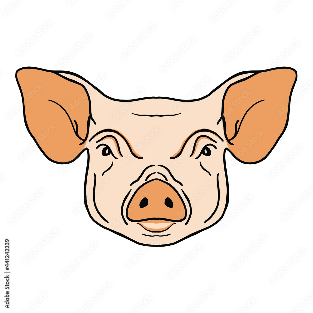 Pig Vector Illustration Stock Vector | Adobe Stock