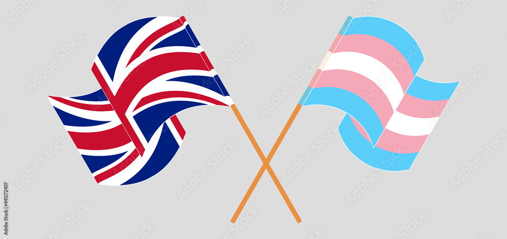 Crossed and waving flags of the UK and Transgender Pride Stock Vector ...