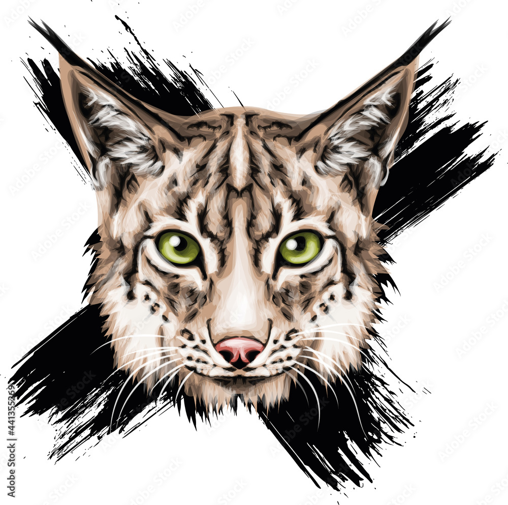 Vector portrait of wild cat. Eurasian Lynx vector art Stock Vector ...