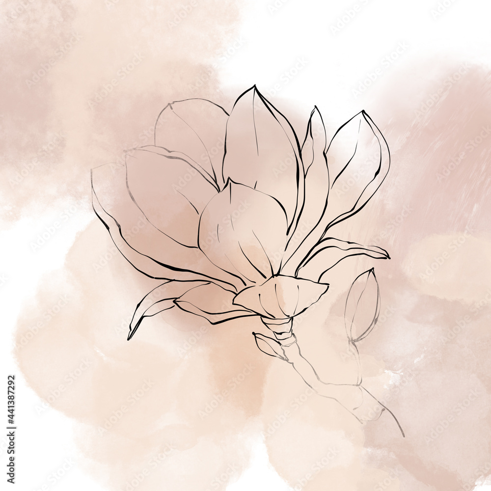 Digital watercolor and line art magnolia background. Lina drawing ...