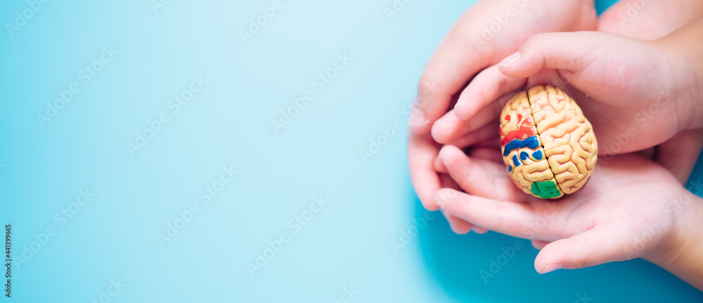 Brain Nervous System.DNA smart brain genius kid child.Family hands ...