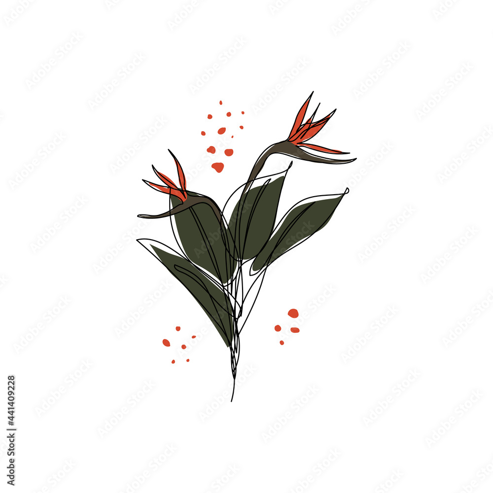 Modern minimalist one line drawing of strelitzia flower and abstract ...