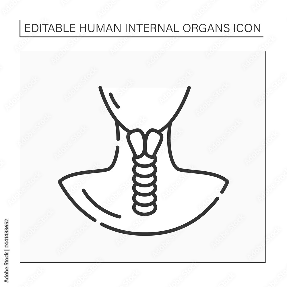 Larynx line icon. Voice box. Involved in breathing. Producing sound ...