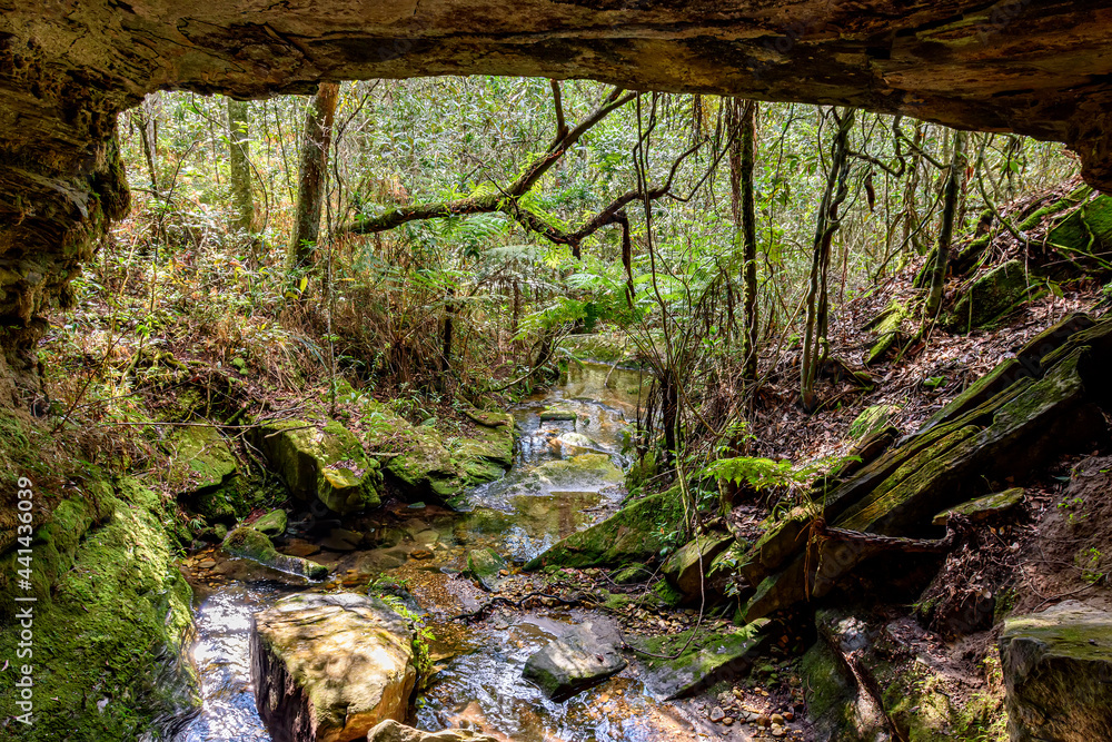 Stone cave interior with small river surrounded by tropical vegetation ...