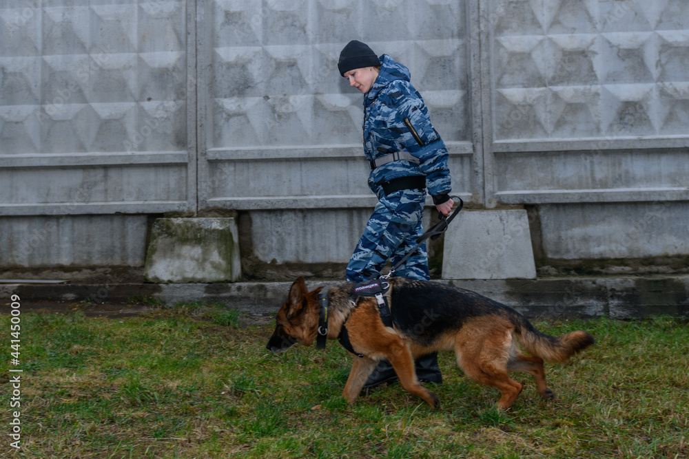 Female police officers with a trained dog. German shepherd police dog ...