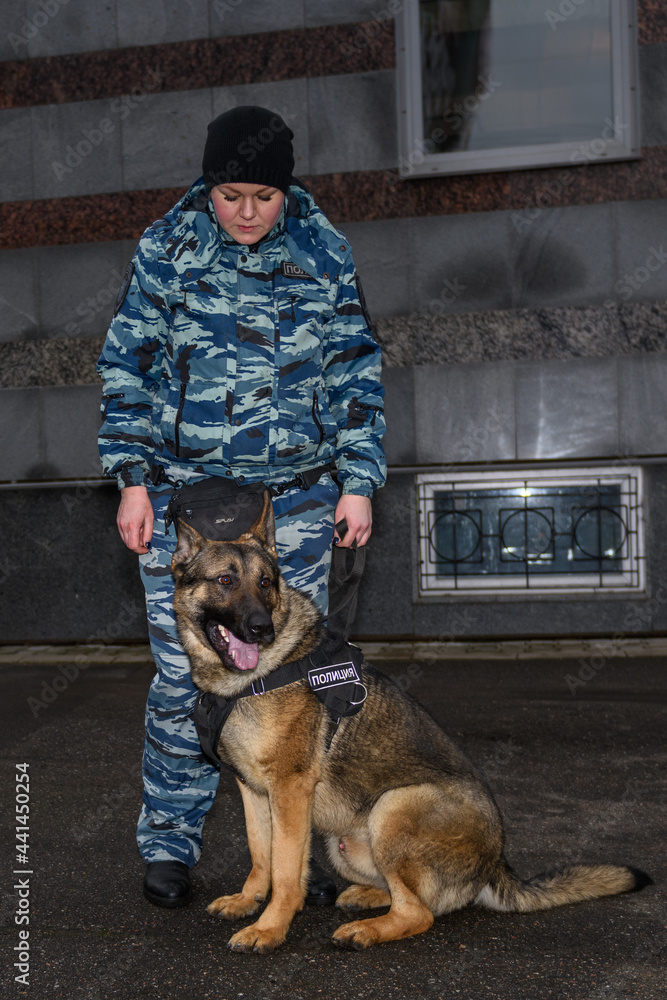 Female police officers with a trained dog. German shepherd police dog ...
