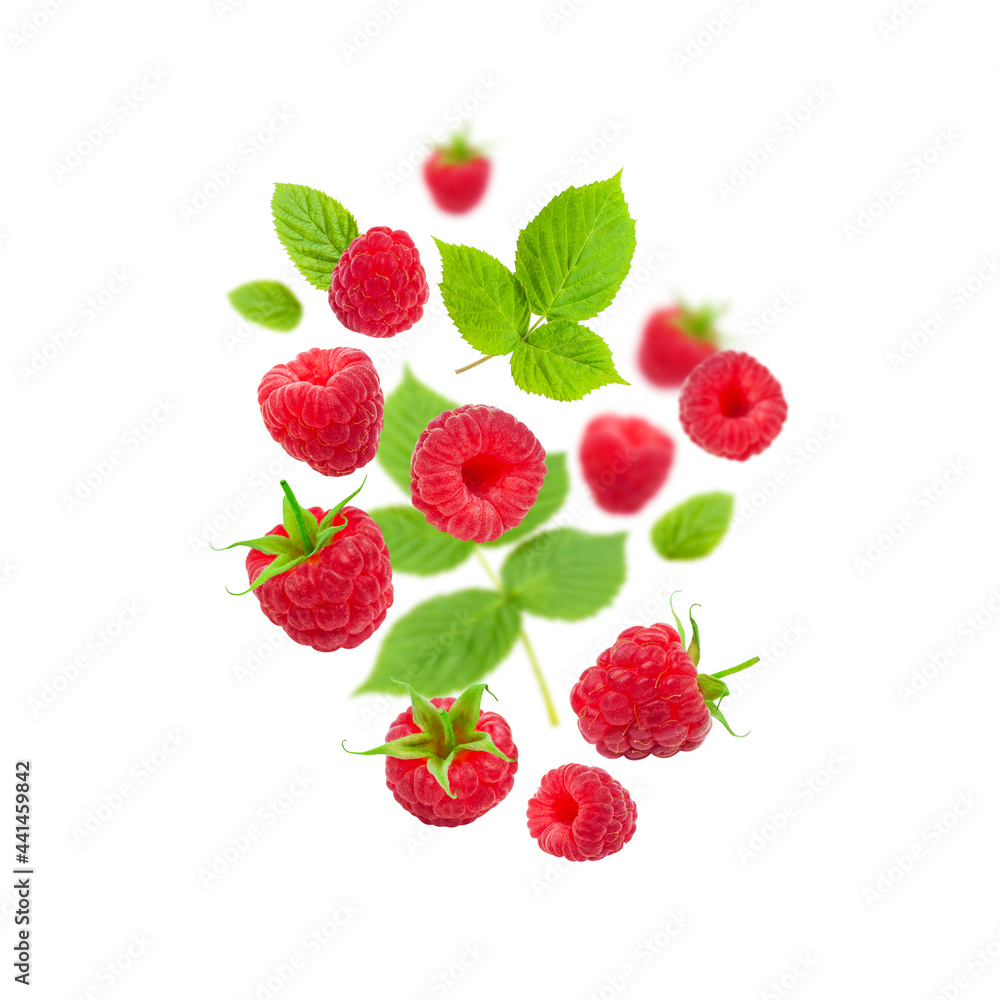 Flying raspberries with green leaves isolated on white background ...
