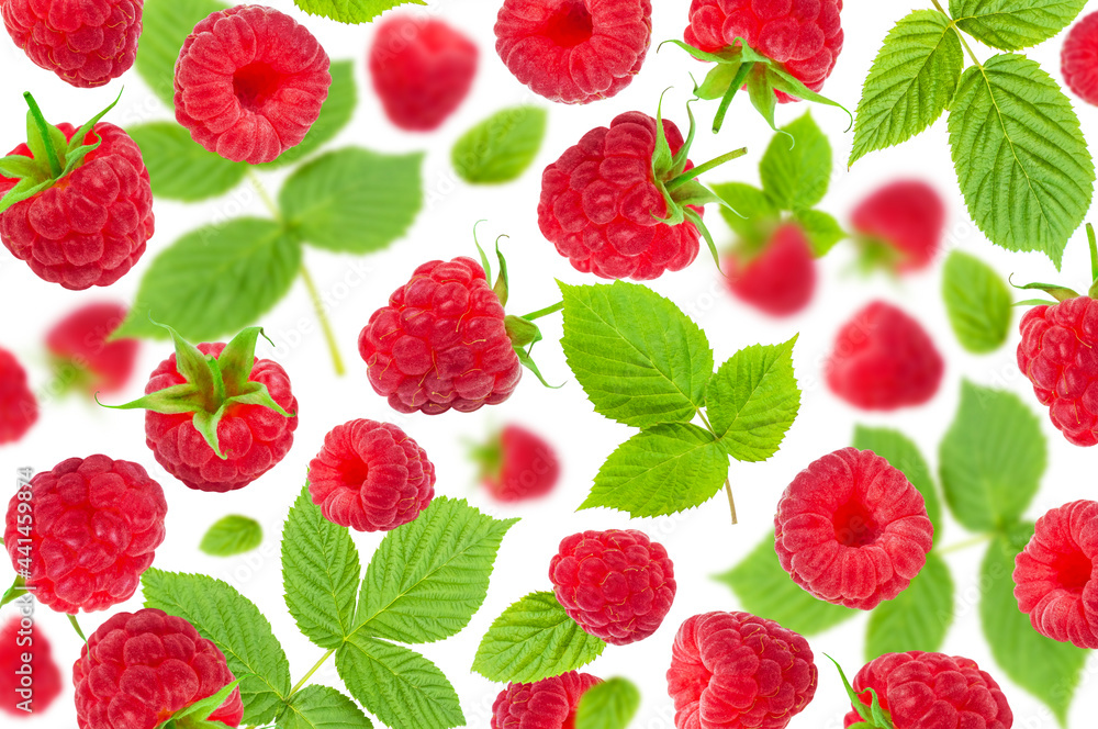 Flying raspberries with green leaves isolated on white background ...
