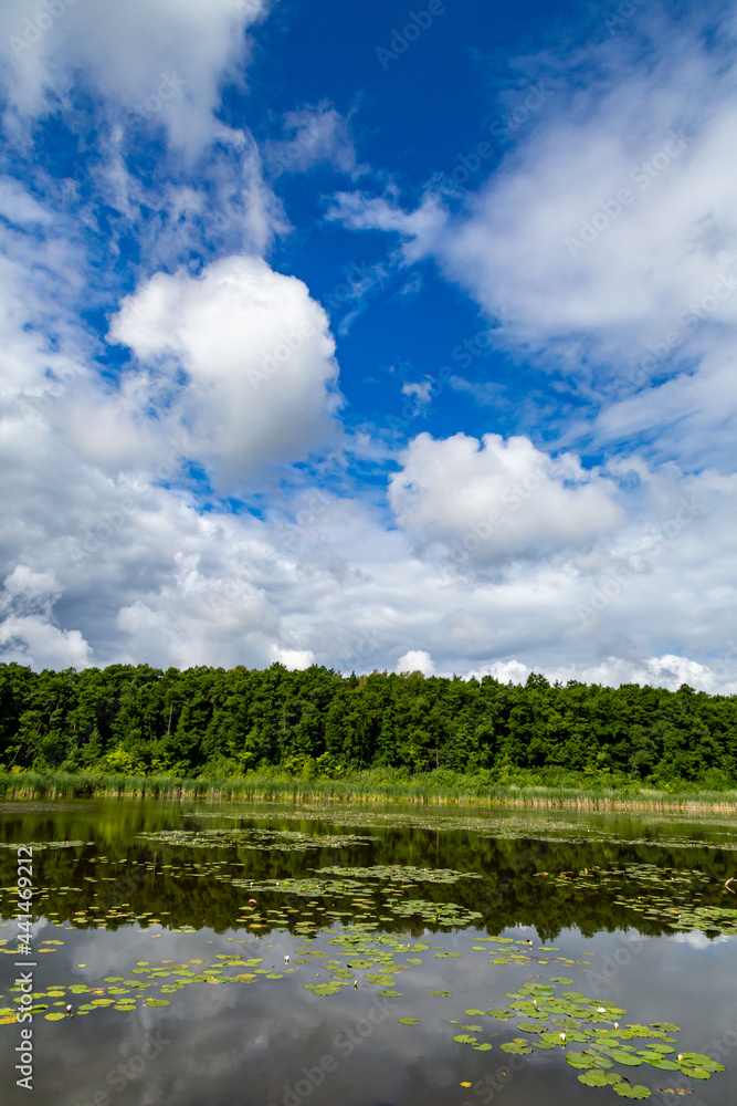 ein wundervoller Tag am See, der Himmel spiegelt sich im Wasser Stock ...