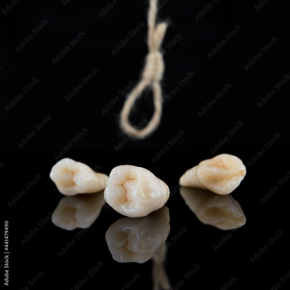 Premolar and canine tooth after removal with roots with thread on a ...
