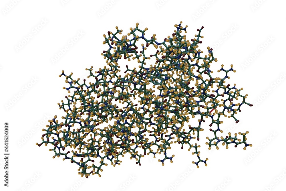 Human erythropoietin (EPO, epoetin), protein that stimulates the ...