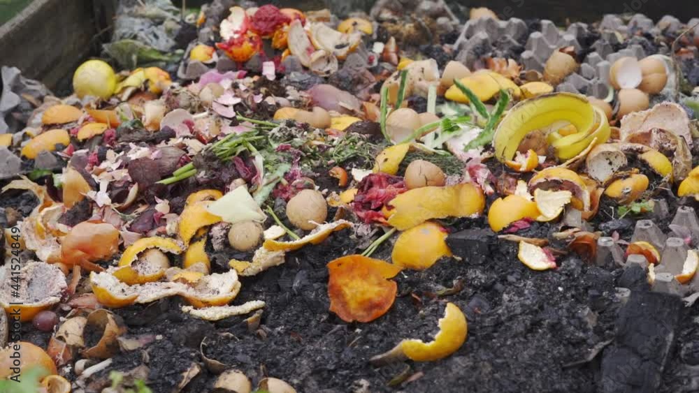 Disposing of food organic waste and sorting waste. Organic fertilizer ...