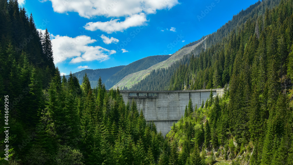 Galbenu dam rising above a coniferous forest. It is an concrete, arched ...