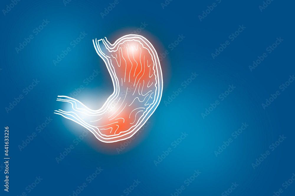Handrawn illustration of human Stomach on dark blue background. Medical ...