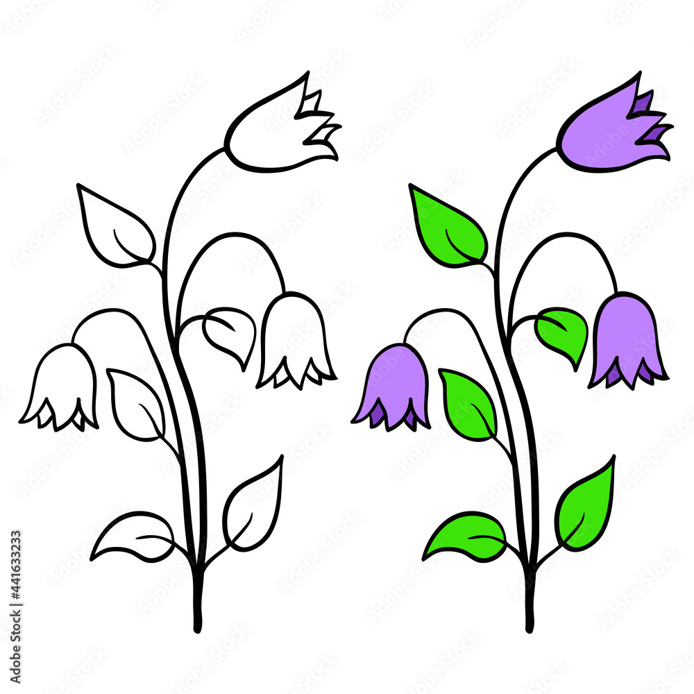 Single bell flower, plant with stem and leaves on white background ...