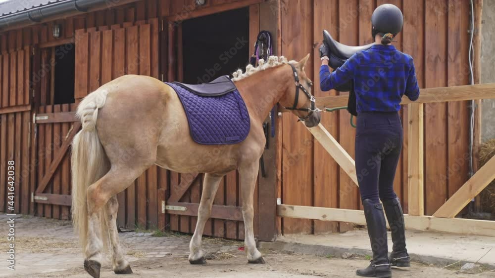 Vidéo Stock Young competitive woman saddling up her horse in a stable ...