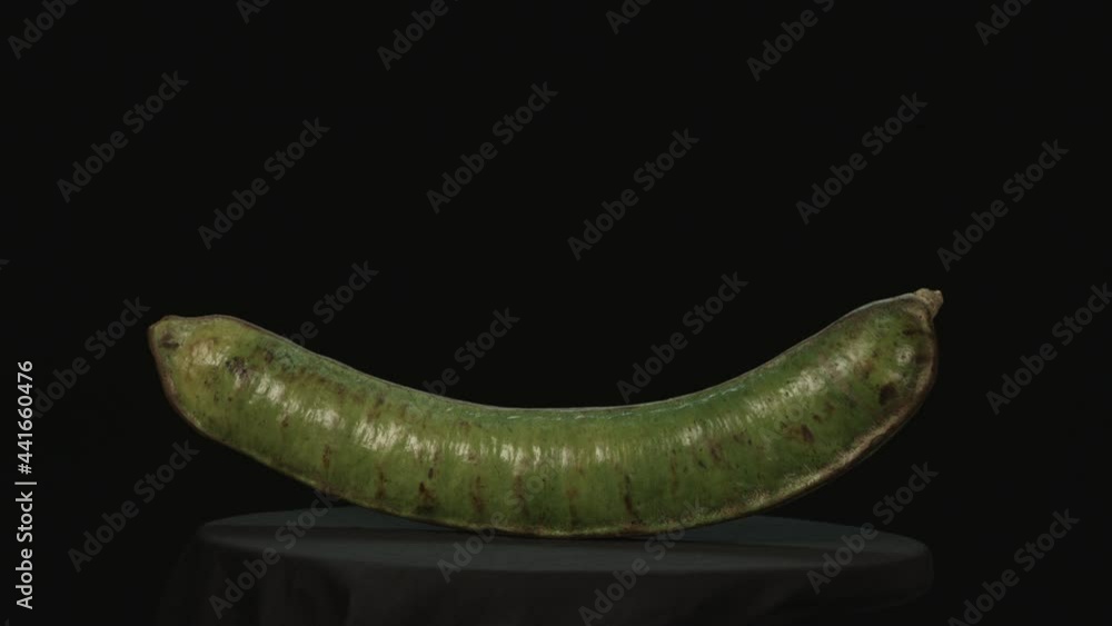 Ingá pod, a typical Brazilian fruit, rich in vitamin A. The pulp ...