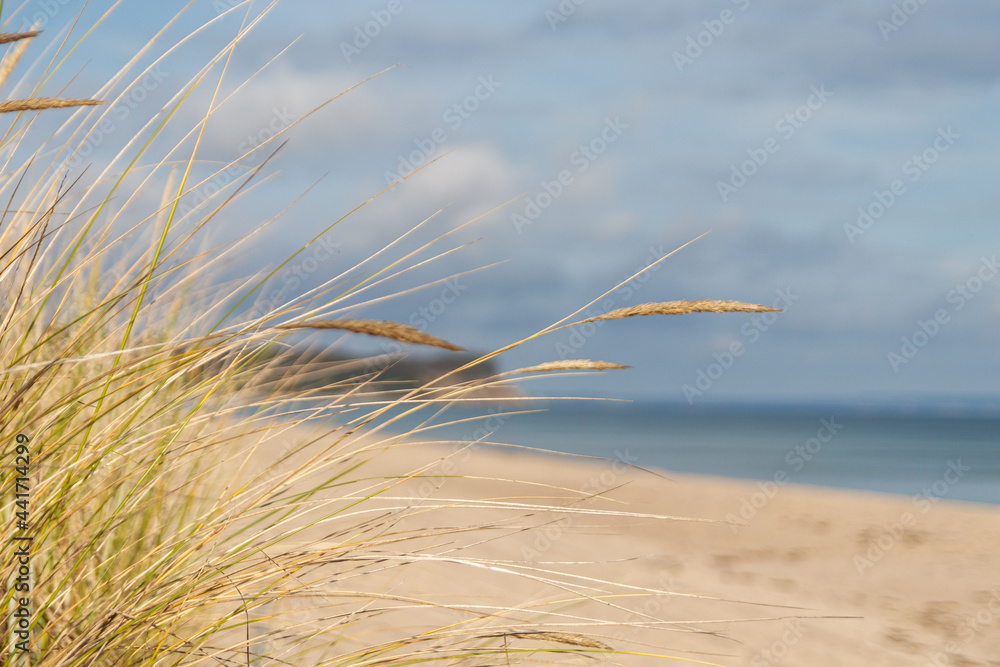Am Strand Stock Photo | Adobe Stock