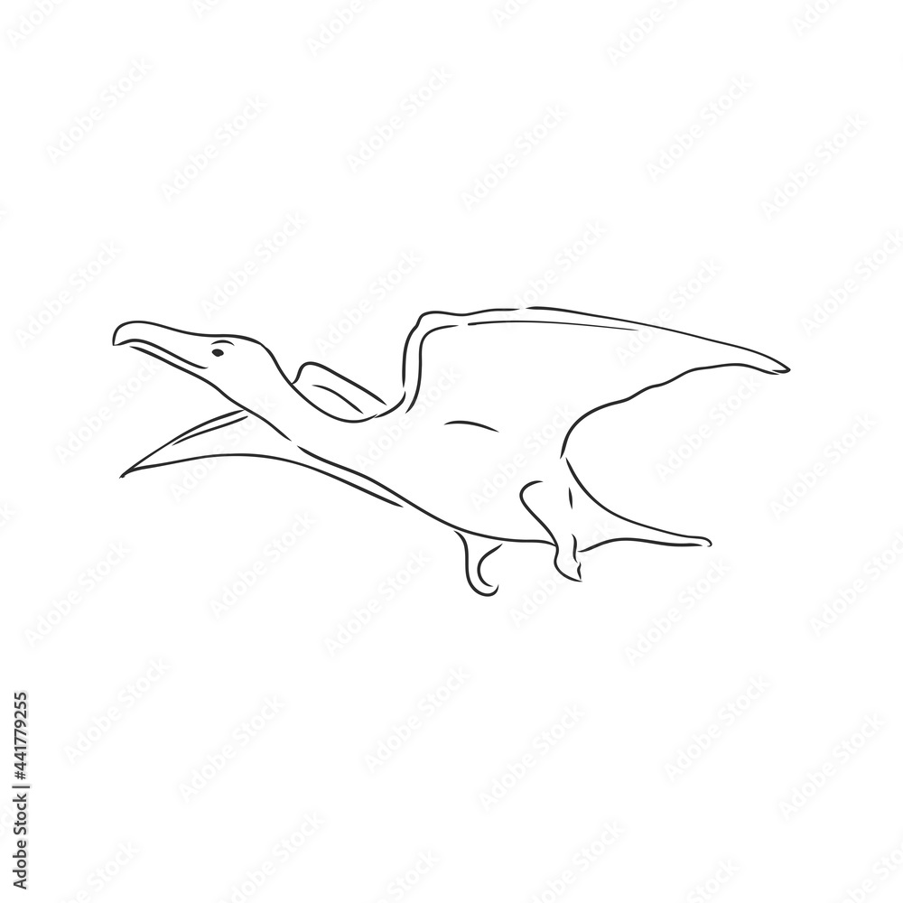 hand drawn, vector, sketch illustration of pterodactyl Stock Vector ...