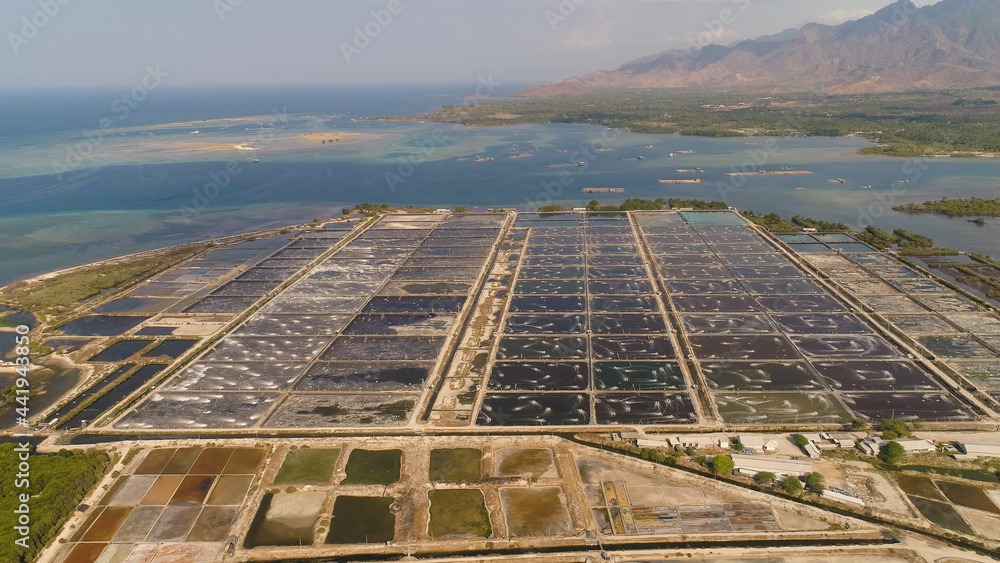 shrimp farm, prawn farming with with aerator pump oxygenation water ...