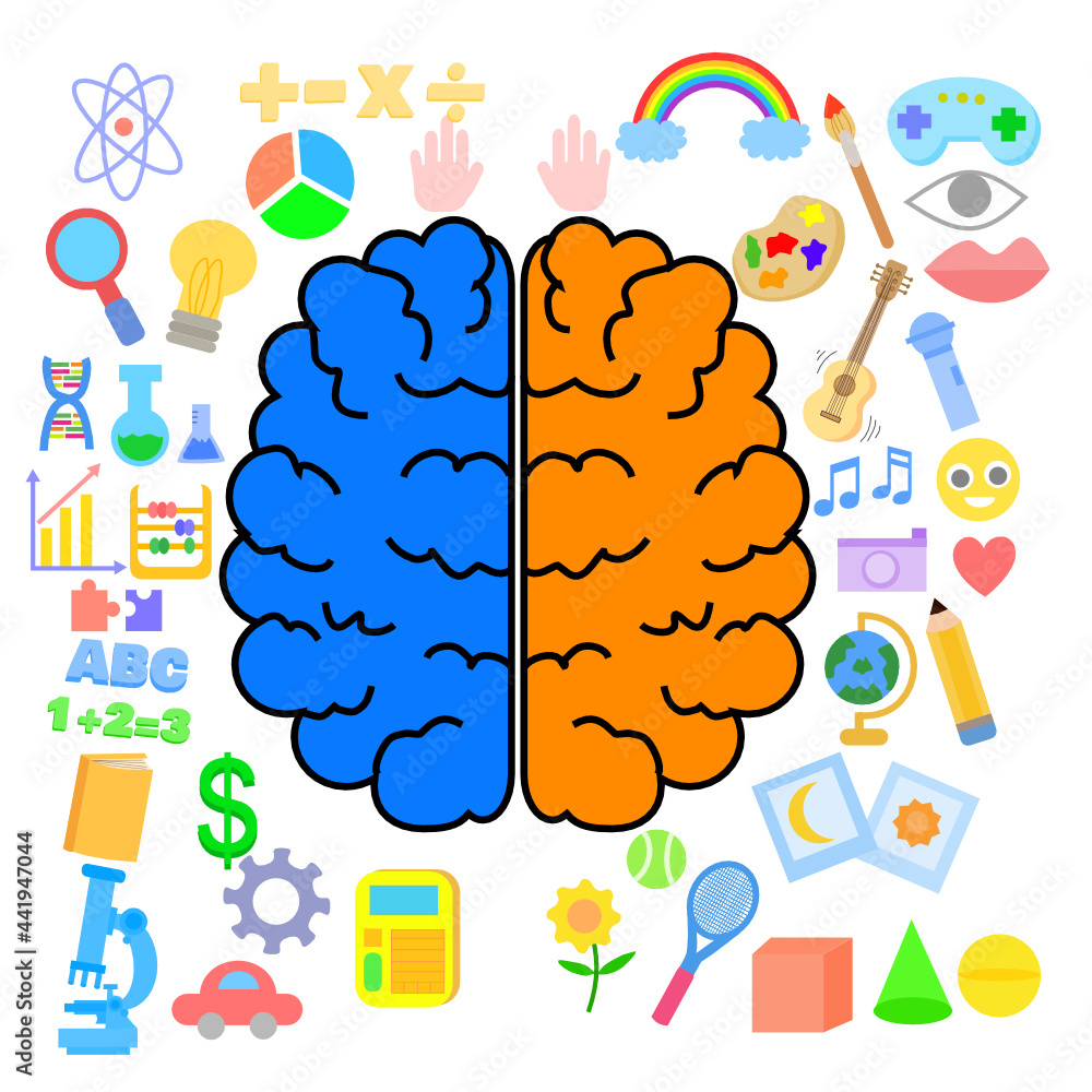 Left and right human brain.Hemispheres brain.Creative and logical ...