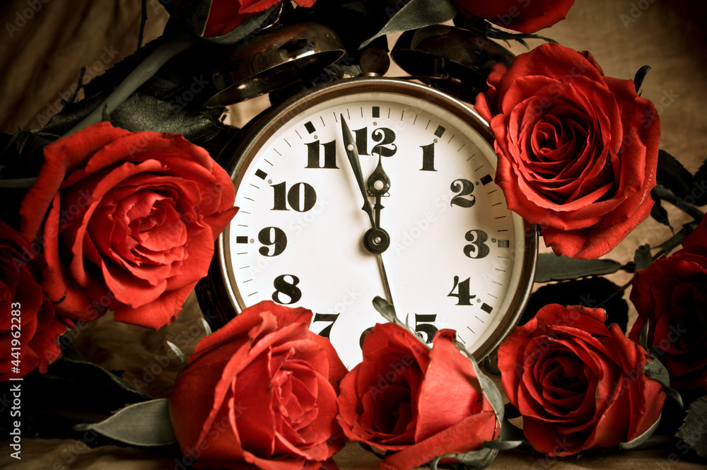 beautiful artistic wall art with bunch of red roses with drops of water ...