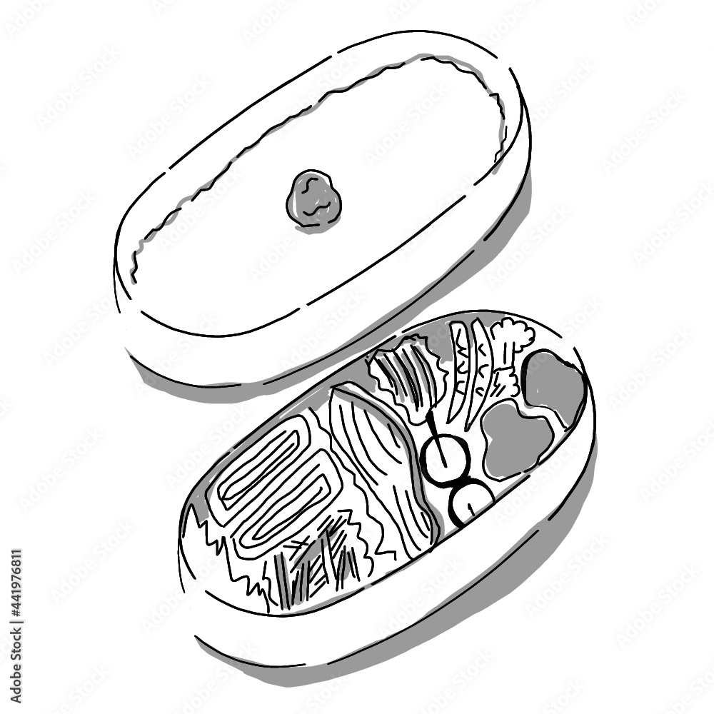 Japanese food illustration. Hand drawn sketch of bento box. Japanese ...