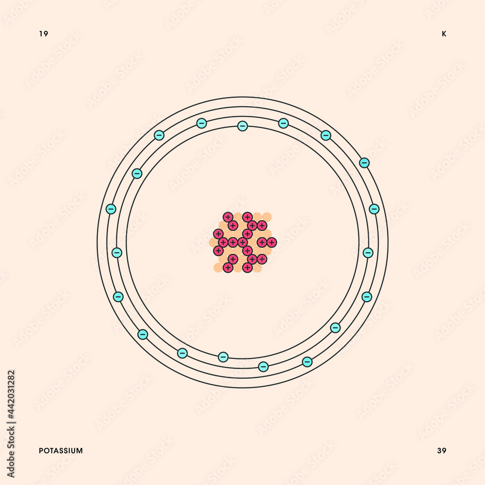 Bohr model representation of the potassium atom, number 19 and symbol K ...